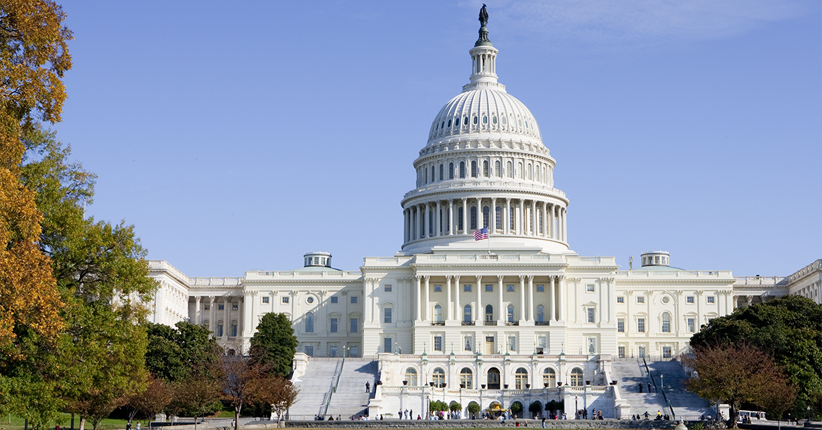 4 Basic Requirements for Government Contracts